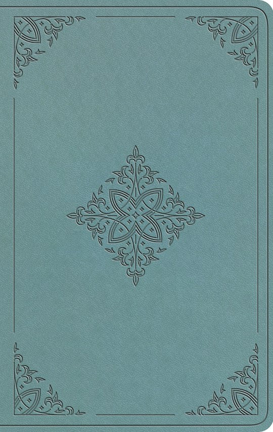 ESV Value Thinline Bible- Paris Sky Fleur-De-Lis Design Trutone ...